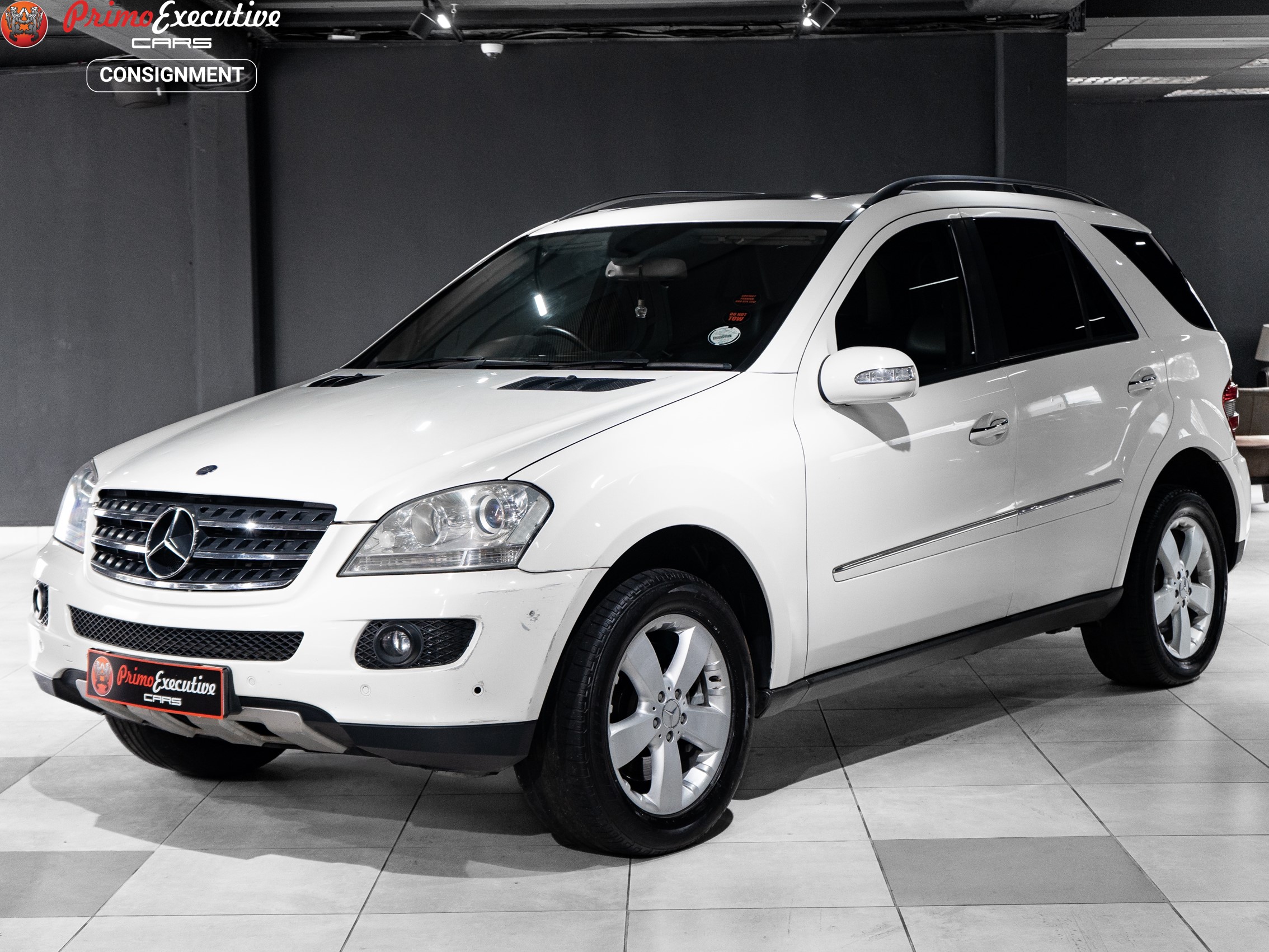 Primo Executive | Vehicle